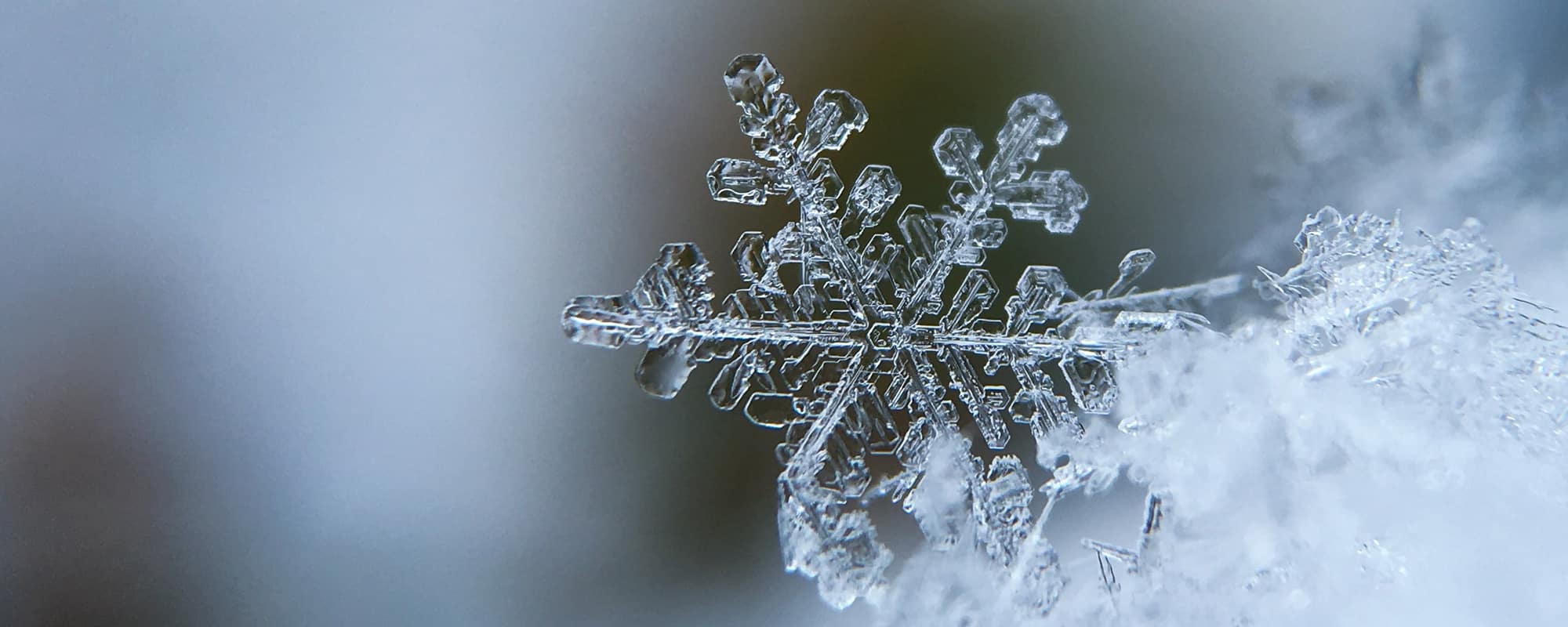 A Few Winter Tips Complete Pest Solutions