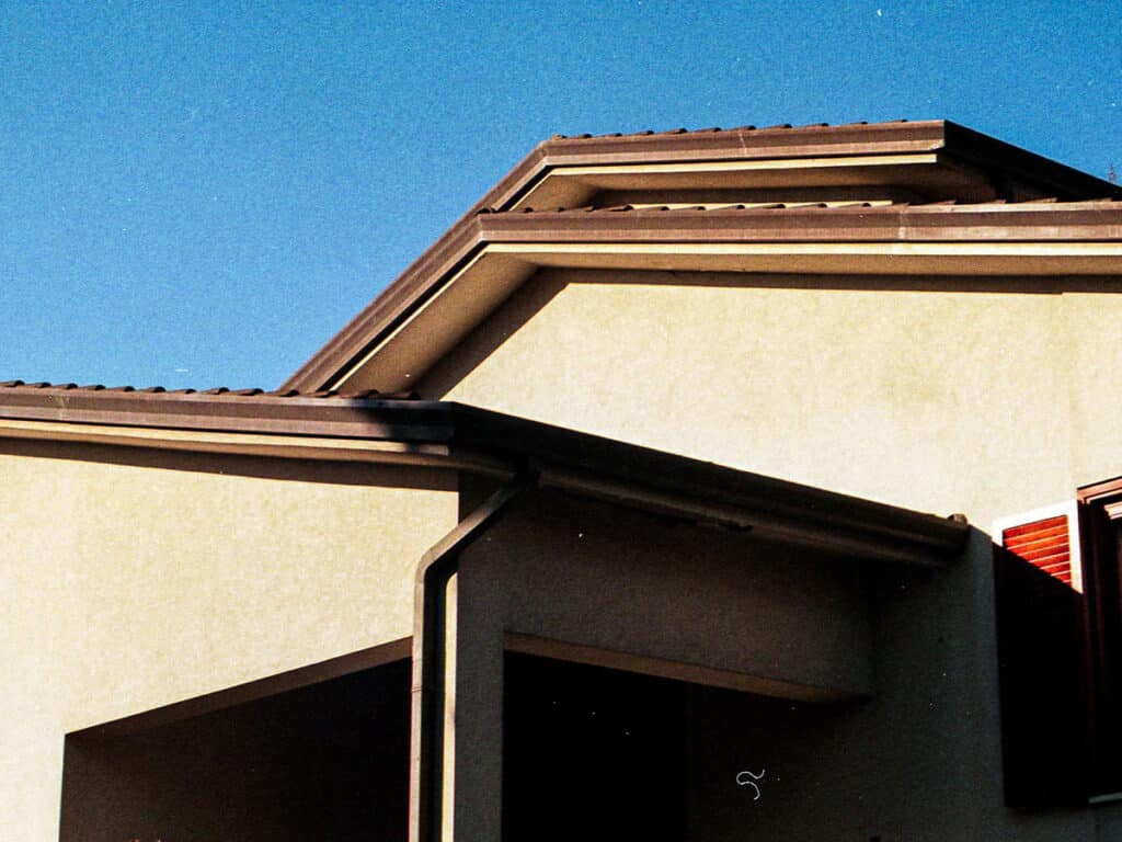 Bird Removal & Control Services - Complete Pest Solutions