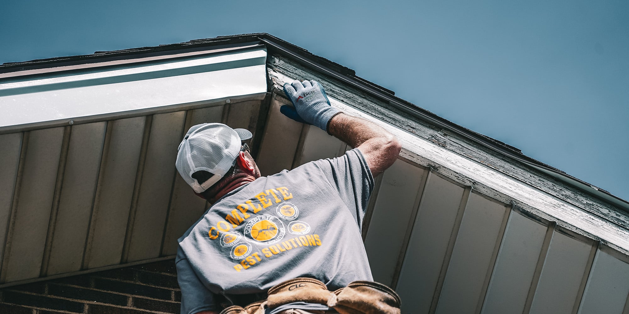 Residential Pest Control Services - Complete Pest Solutions